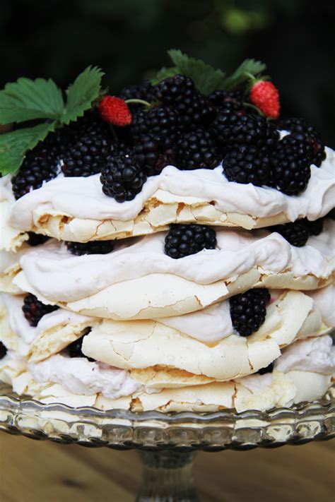 Dort Pavlova Monamy Pardubice