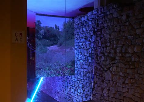 La Realtà Disattesa Dalle Parole Tre Domande A Flavia Tritto