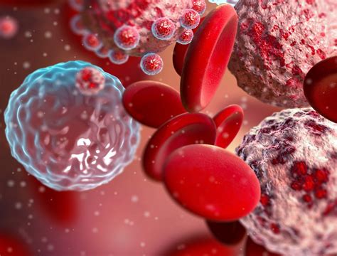 3d Bone Marrow Models Transforming Drug Discovery For Hematopoietic Disorders Crown Bioscience