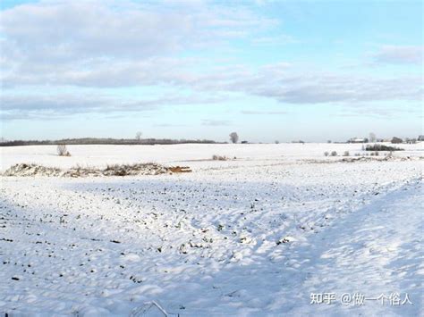 《大酺·春雨》原文翻译赏析 周邦彦 宋词三百首 知乎
