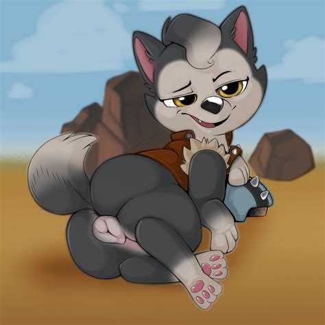 Post 4168136 Cocampplus Gasket Paw Patrol