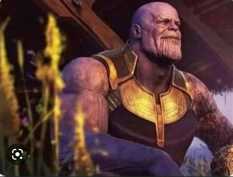 Thanos Peace Blank Template Imgflip