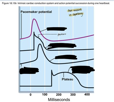 Lecture 18 Part 2 Diagram Quizlet