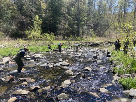 Ontario Groups Learn About Bugs As Bioindicators Living Lakes Canada