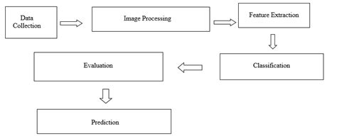 A Model For Sign Language Recognition System Using Deep Learning
