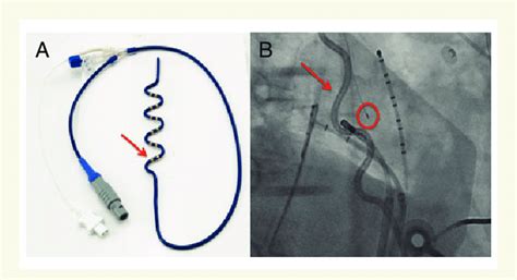 A Photograph Of The Multi Sensor 12 Sensor Sinusoidal Temperature Download Scientific