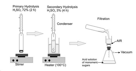 Acid Hydrolysis Of The Insoluble Fraction Coming From The Se And