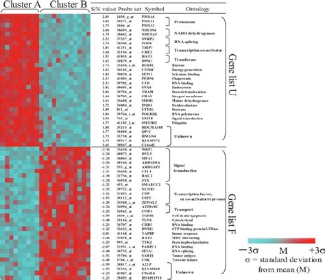 Genes Specifically Expressed In Cluster A Or Cluster B The Top 30