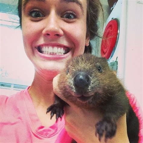 30 Of The Cutest Beaver Pics The Internet Has To Offer Bored Panda
