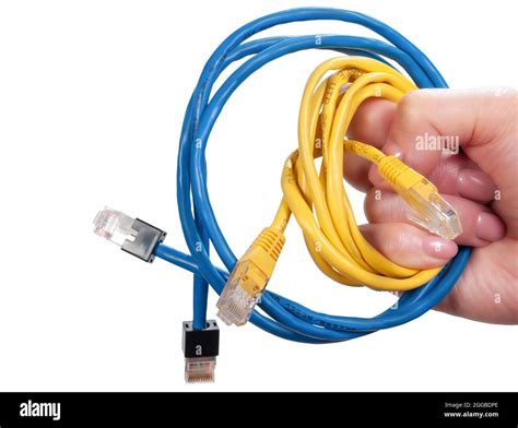 Blue And Yellow Ethernet Cables In Womens Hand Isolated On White