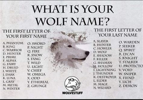 Pin De Eduardo Dos Santos Em Depósito De Arte Infinita Nome De Lobo