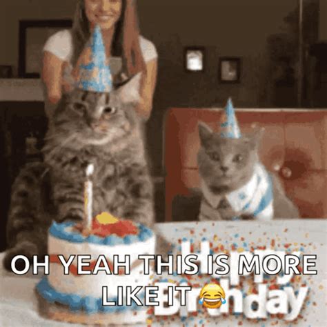Animated Cat Singing Happy Birthday S Tenor