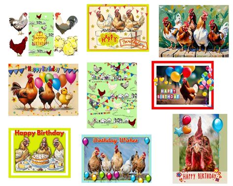 Happy Birthday Chicken Card A5 Choose Design S Etsy