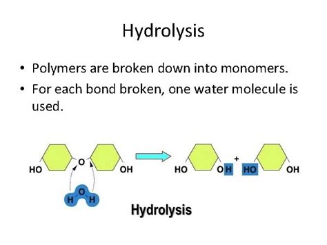 Biochemistry The Building Blocks Of Life Atoms Molecules