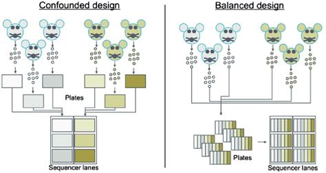 Experimental Design Examples In The Confounded Design Cells Are