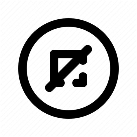 Action App Crop Execute Media Icon