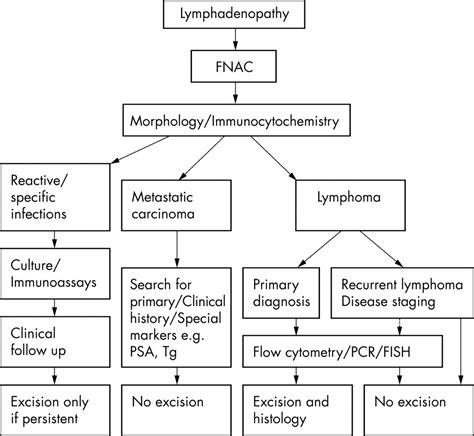 Best Practice No 185 Cytological And Molecular Diagnosis Of Lymphoma