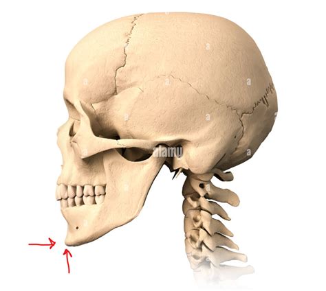 Normies Discovered Bonesmashing Jfl Mens Self