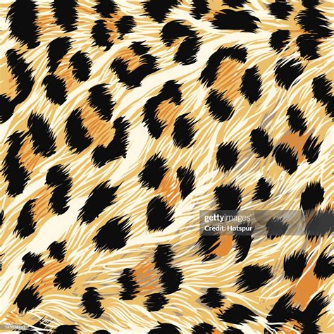 Leopard Fur High Res Vector Graphic Getty Images