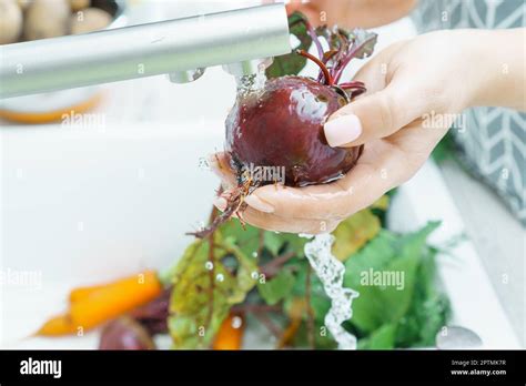 Female Manicured Hands Washing Fresh Beet Under Tap Water Jet In