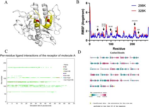 Frontiers Modification Of The Active Centre Of Nattokinase To Enhance