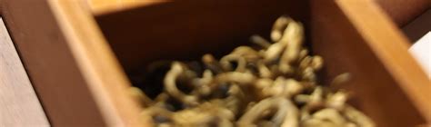 Tea Tasting Experience At Shaocheng Teahouse In Chengdu Sichuan