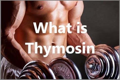 What Is Thymosin Thymosin Cycle Thymosin Dosage Thymosin Reviews