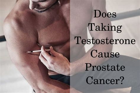 Is Testosterone A Real Risk For Your Prostate Hrtguru Clinic