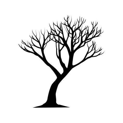 Tree Without Leaf 25445738 Vector Art At Vecteezy