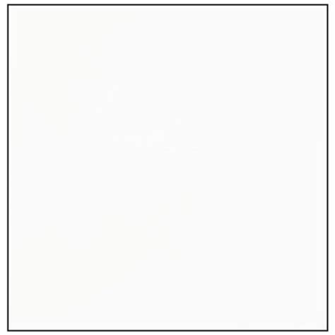 Proform Mouthguard Resin Sheets White 5 X 5 160 Thick Soft Ebay