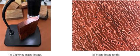 Figure 1 From Evaluation Of Wood Species Identification Using Cnn Based Networks At Different