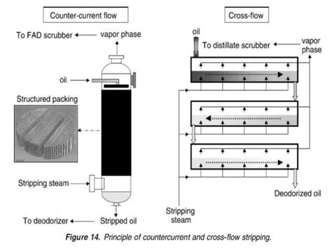 Deodorization Pptx Chemistry Science