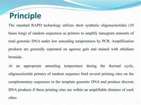 Random Amplified Polymorphic Dna Rapdpptx Chemistry Science