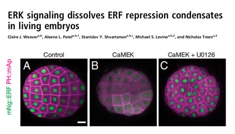 João Raimundo Jraimundo Twitter