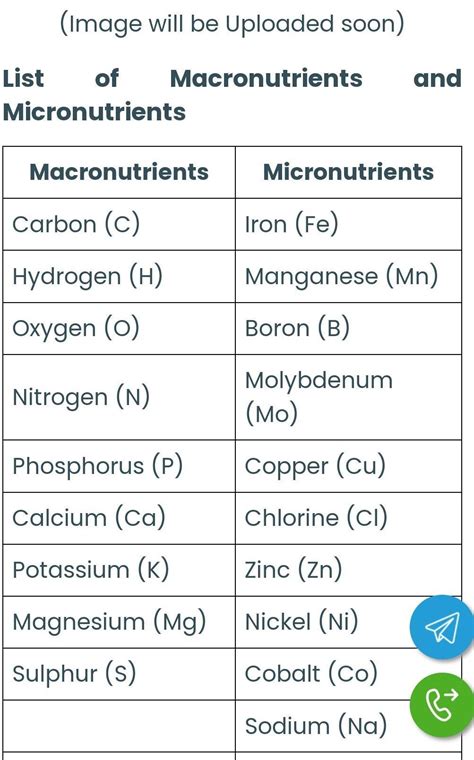 6 Examples Of Micro And Macro Nutrients