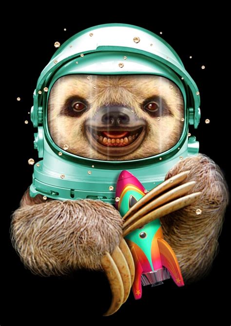 Sloths In Space