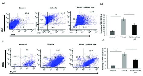 Immune Modulation In Runx Sirna Nlc Treated Mice Ab Representative