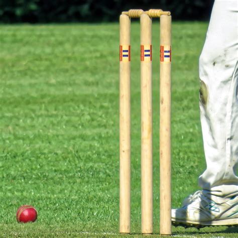 Cricket Dataset Csv Kaggle