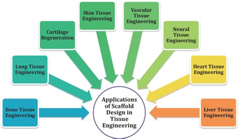 Scaffold Design In Tissue Engineering Springerlink