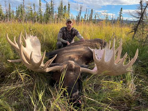 Largest Moose Ever Killed