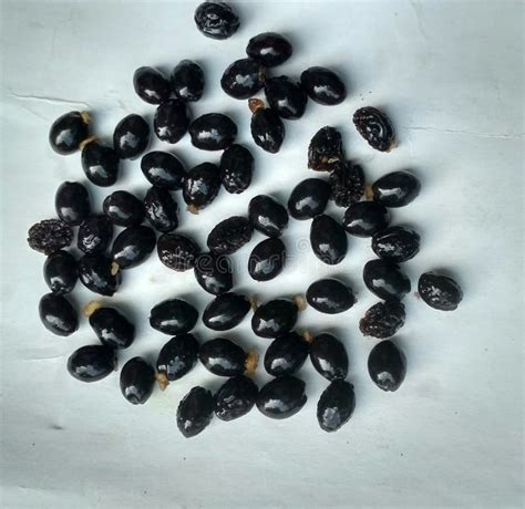 Indian Fresh Natural Ripe Papayaand X27s Seed With White Background