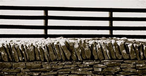 Anne Frederick About Me