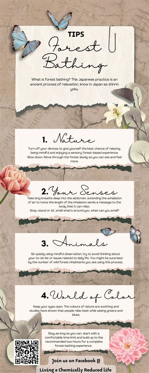 Maria Nardella On Linkedin Nature Healthandwellbeing Forest