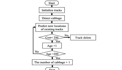 Flow Chart Of The Chinese Cabbage Counting Algorithm Download