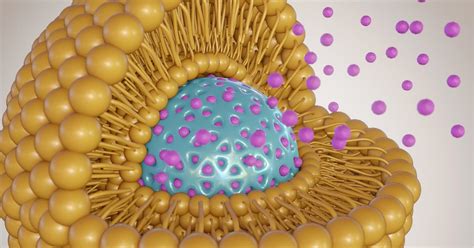 Sudeep Nutrition Launches Lipoboost Liposomal Ingredients