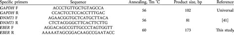 Specific Primers Of The Dnmt1 Gene In Real Time Rt Pcr Download