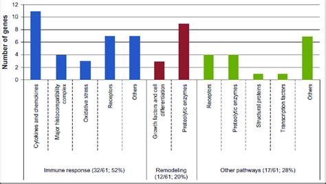 Classification Des 61 Principaux Gènes Associés à Lasthme Selon Leurs Download Scientific