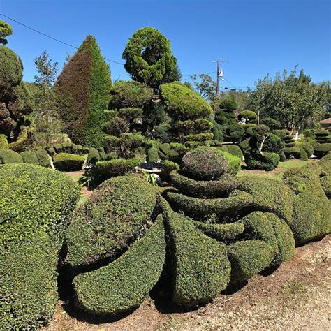 Pearl Fryars Topiary Garden Bishopville All You Need To Know