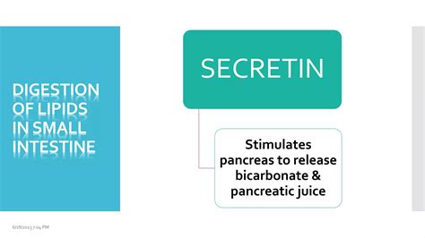 1 Digestion Absorption Of Lipidpptx 1 Digestion Absorption Of Lipidpptx