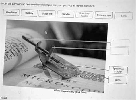 Label The Parts Of Van Leeuwenhoeks Simple Microscope Not All Labels Are Used View Finder